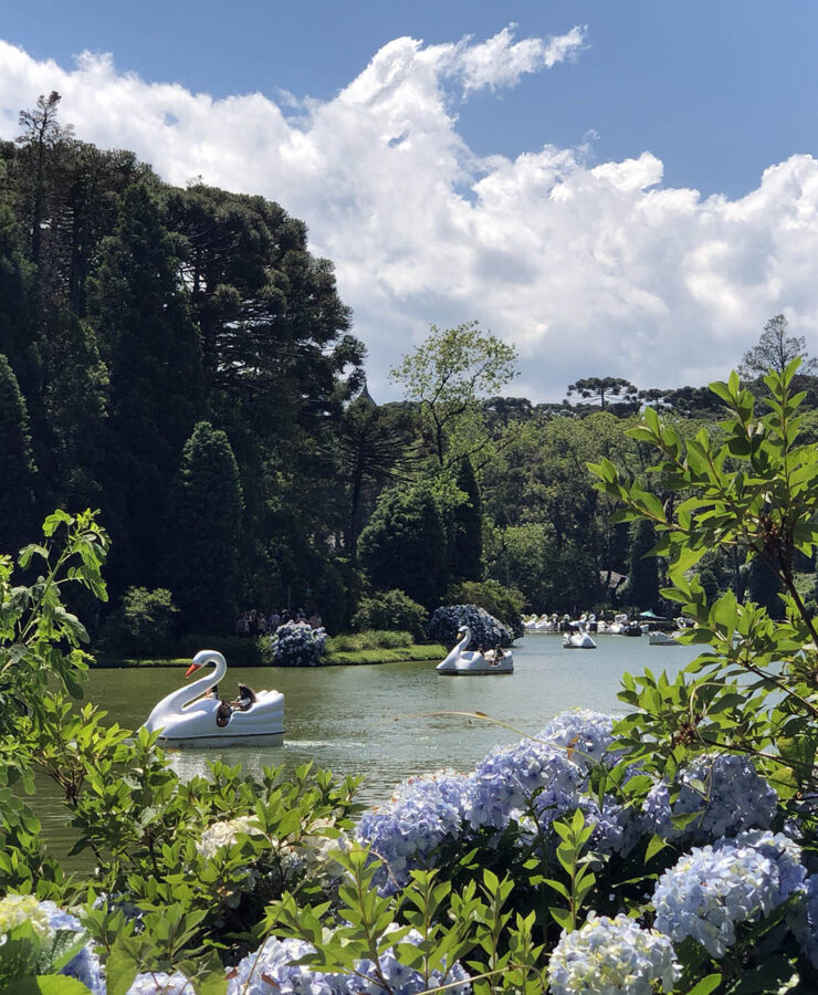 Lago Negro - Poehma Lago Negro